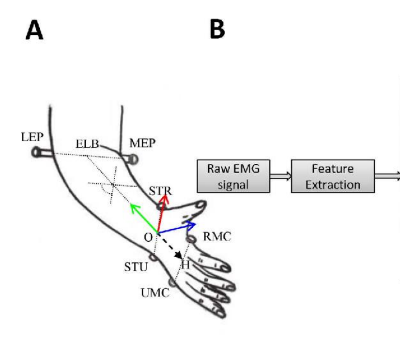 Chunjing Zheng | Robotics Developer